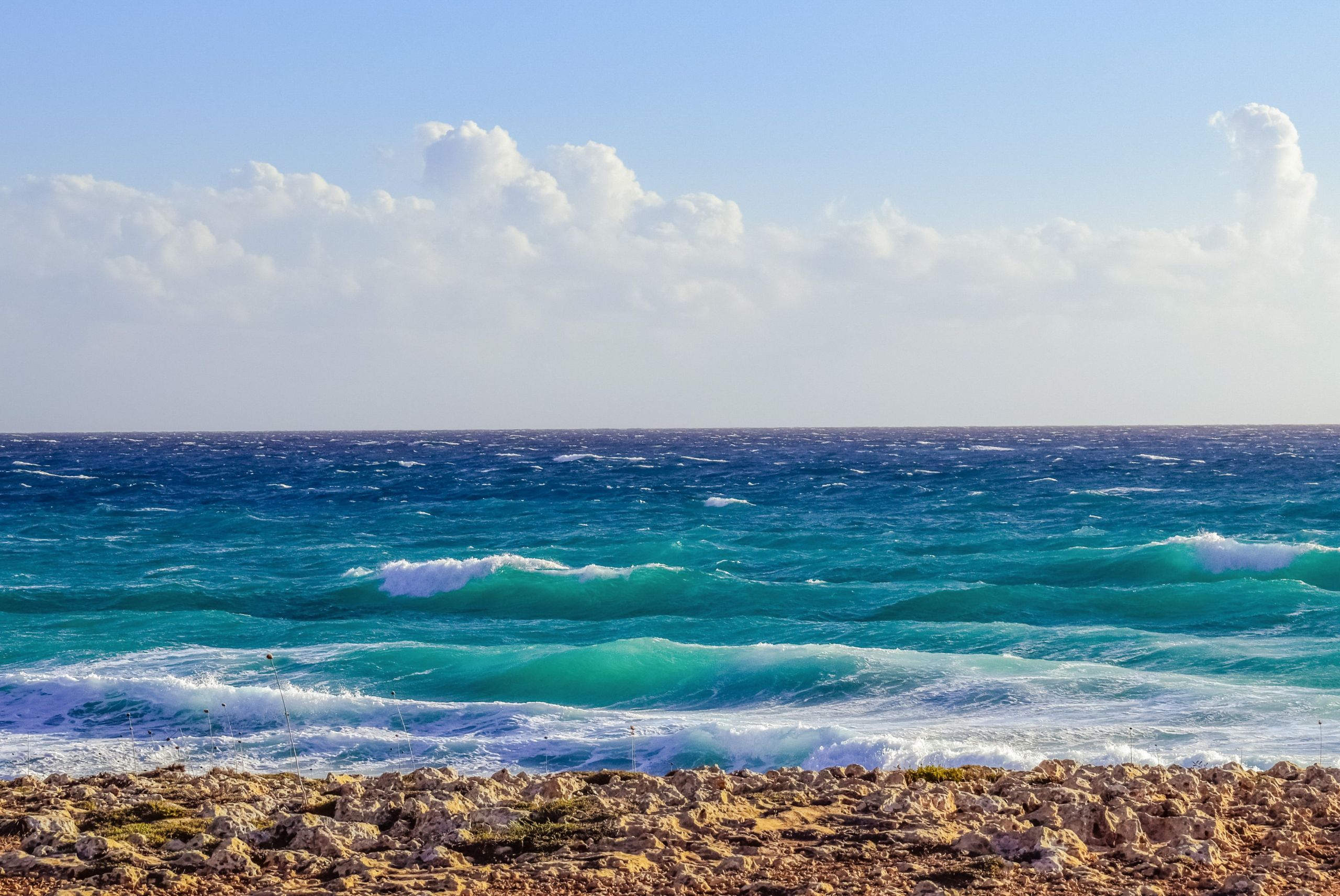 Día Mundial de los Mares